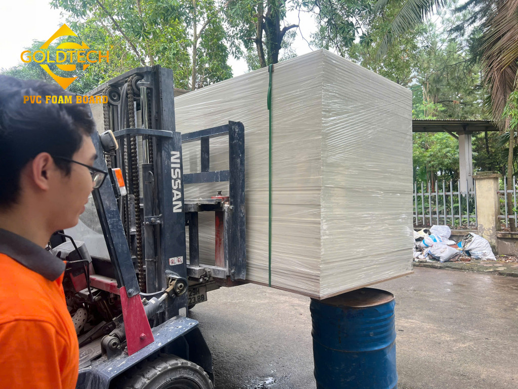 Foam Board Design A91